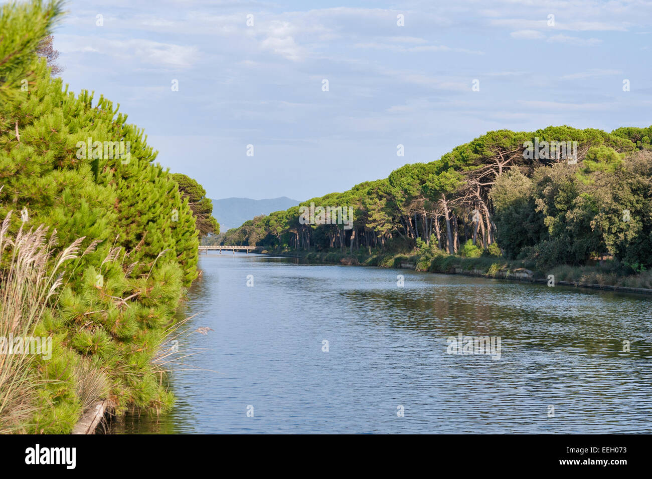 Rossore italy hi-res stock photography and images - Alamy