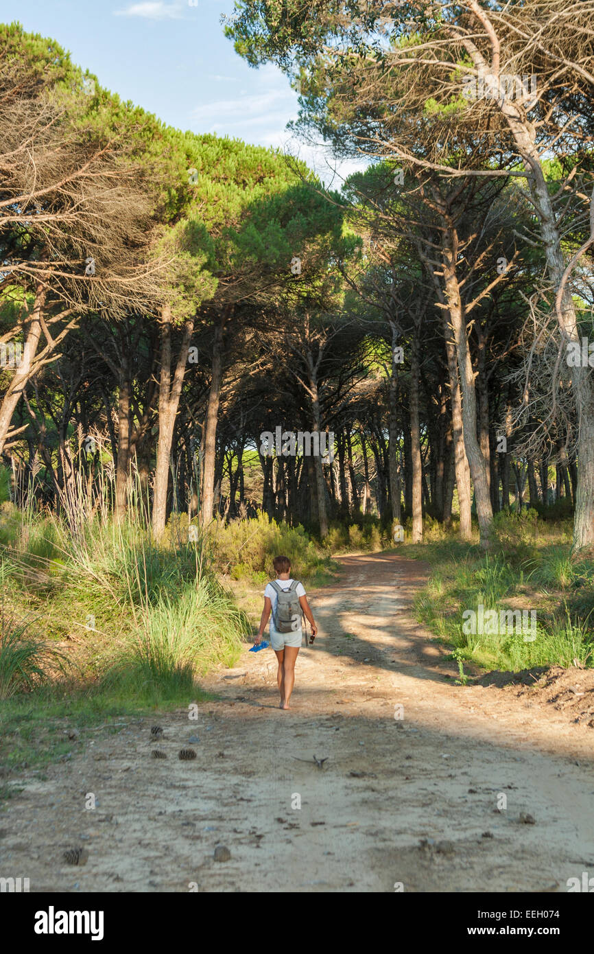 woman hiking through the road in Tuscany forest Stock Photo - Alamy