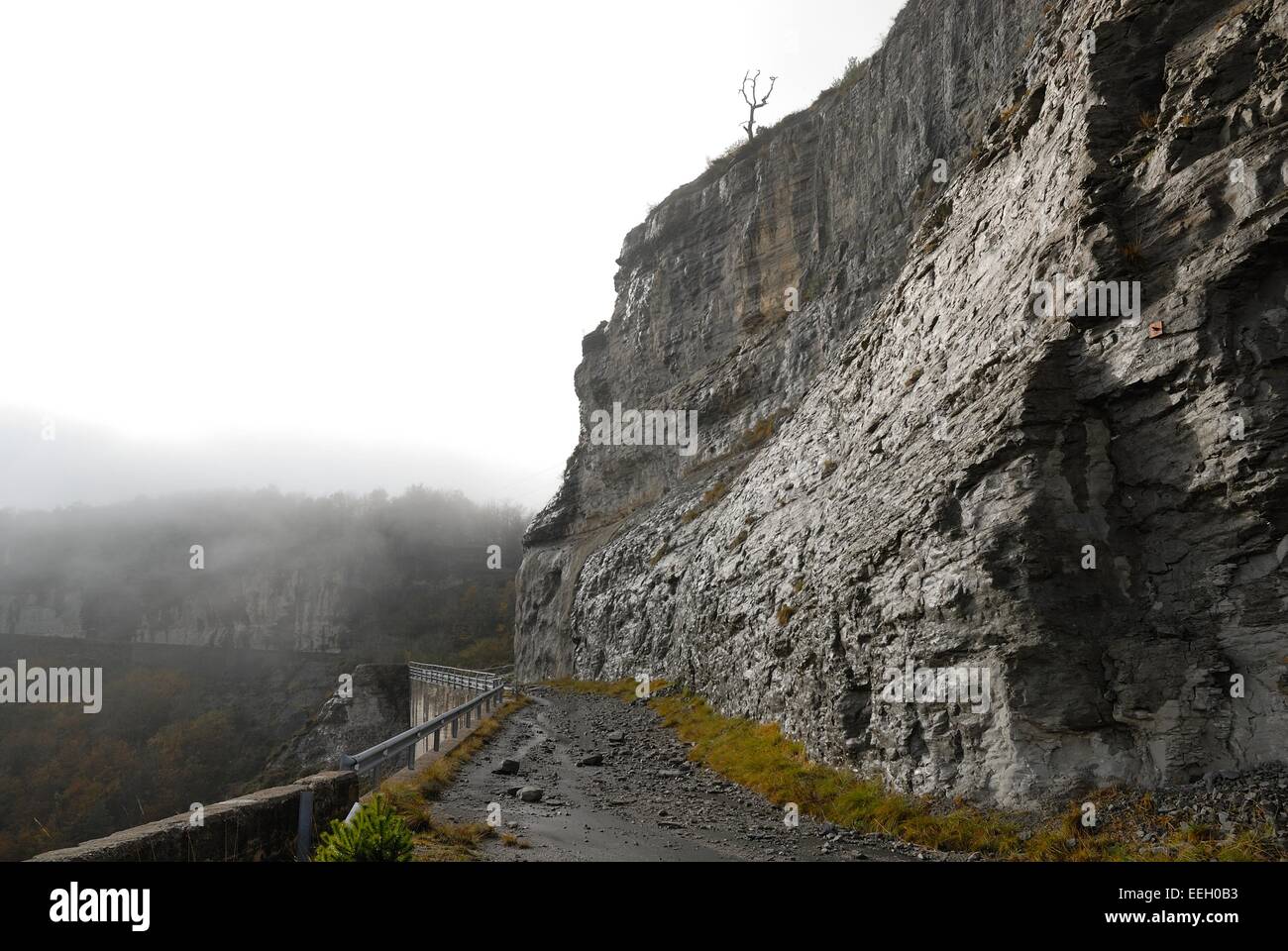 Old abandoned road with fallen stones Stock Photo - Alamy