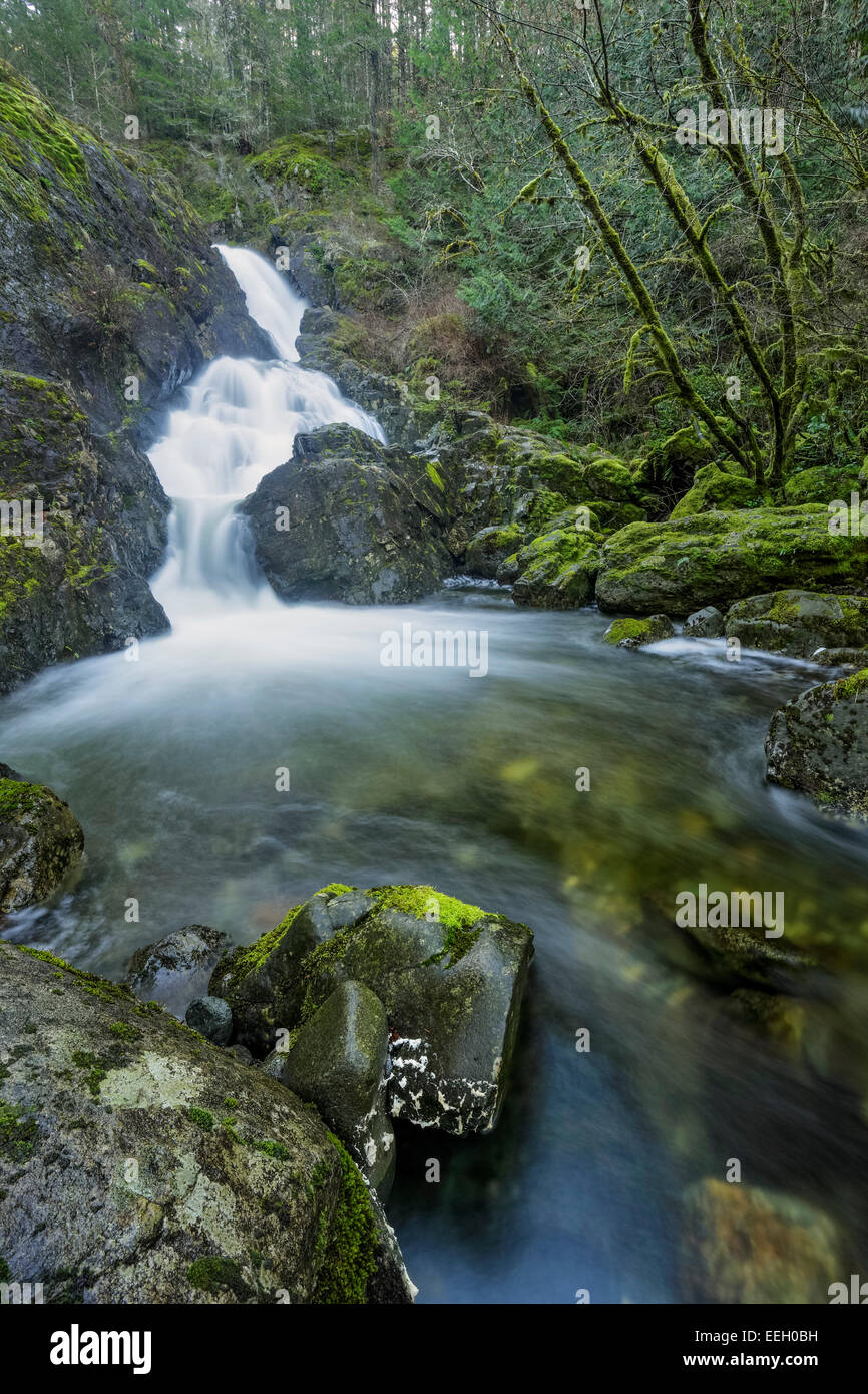 Todd Creek and waterfall in Sooke Potholes Park-Sooke, British Columbia ...