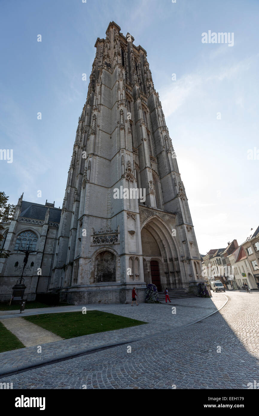 St. Rumbold's Cathedral tower Stock Photo - Alamy