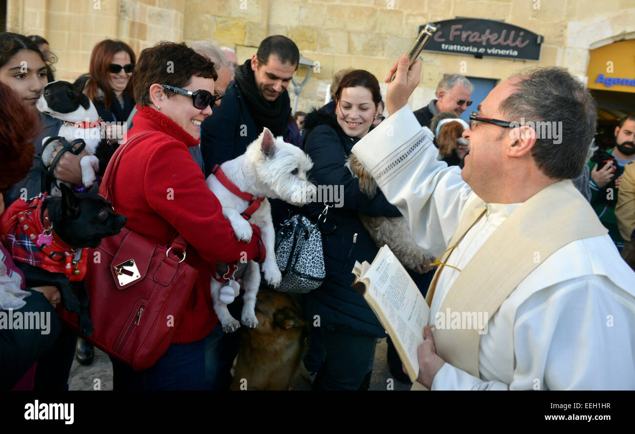 Valletta, Malta. 18th Jan, 2015. A blessing of the animals ceremony ...