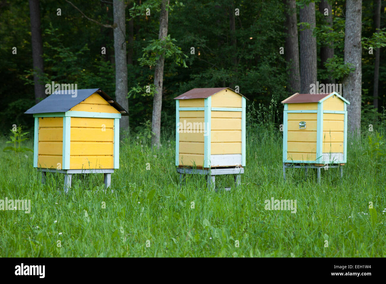 Beehives at meadow hi-res stock photography and images - Alamy