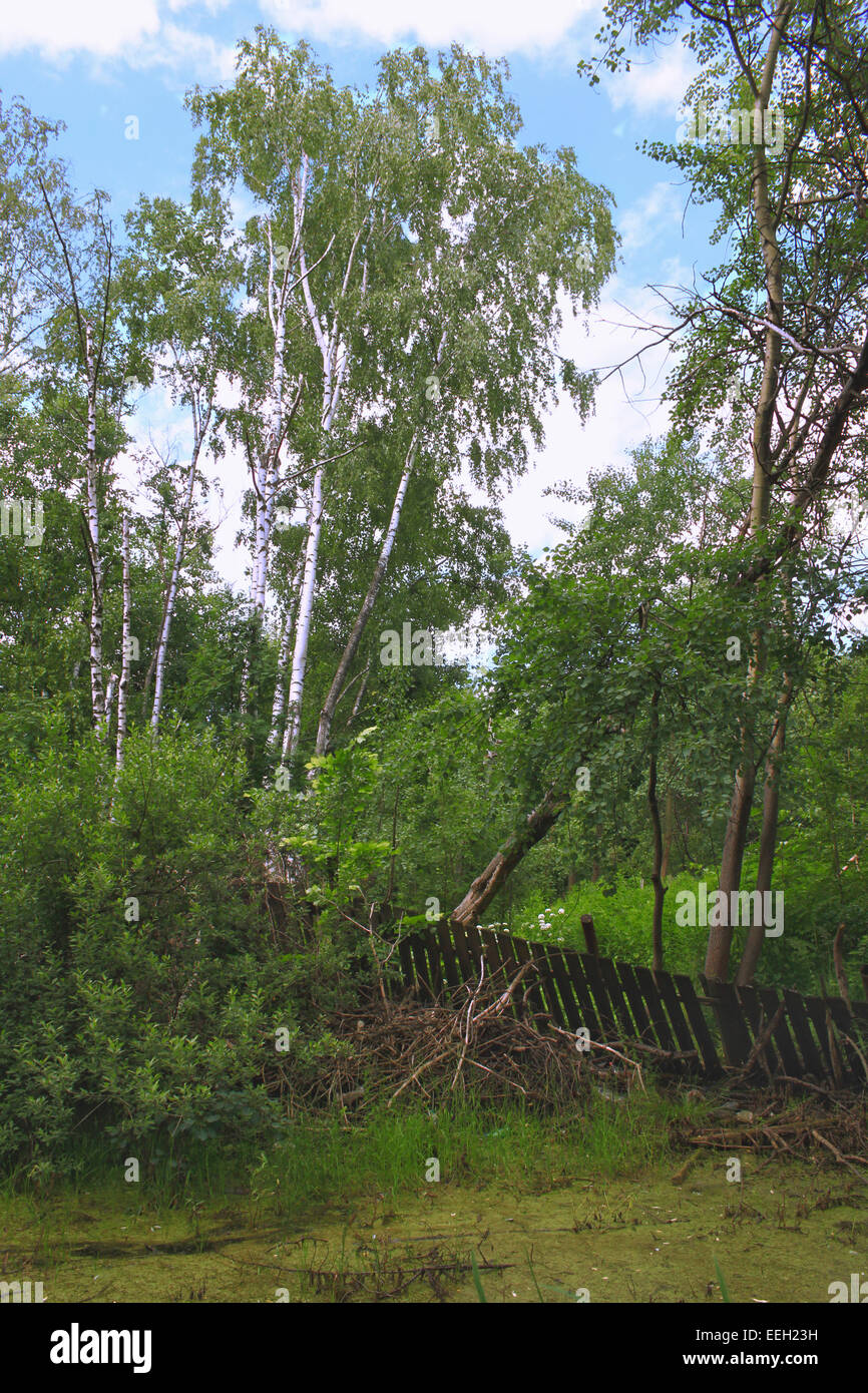 Slough landscape hi-res stock photography and images - Alamy