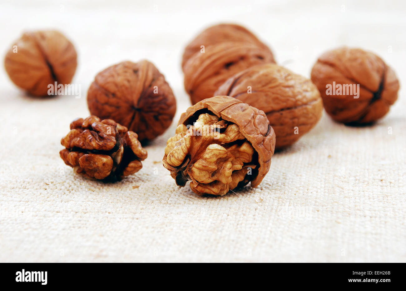 Walnuts structure hi-res stock photography and images - Alamy