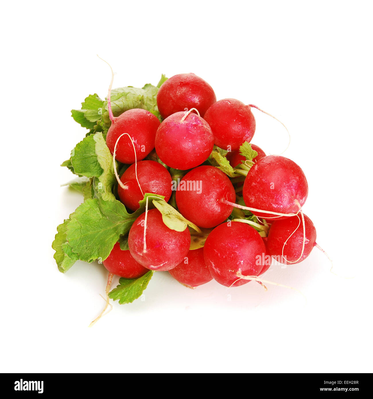 Fresh radishes on a white background Stock Photo - Alamy