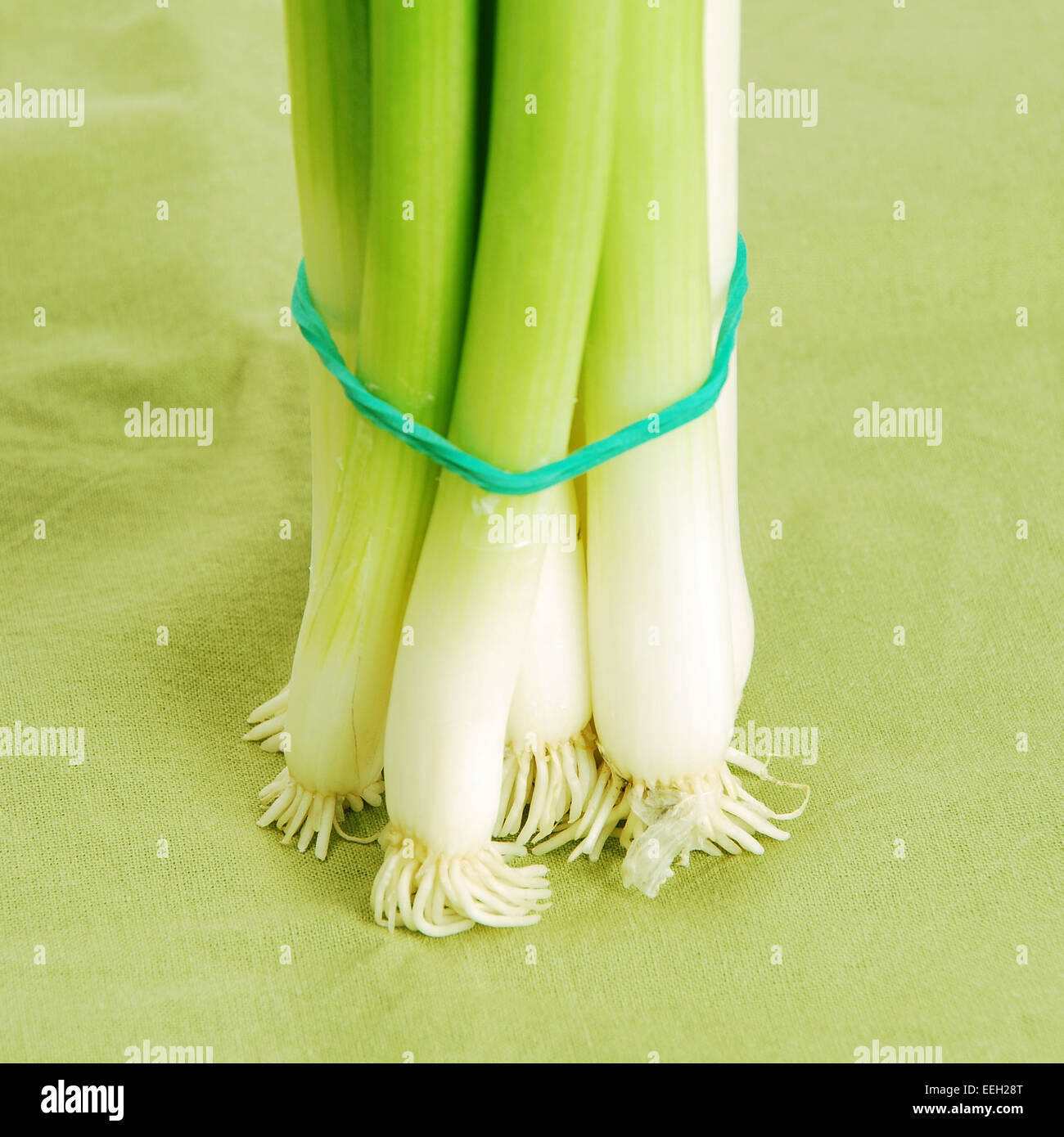 Closeup on spring onion roots hi-res stock photography and images - Alamy