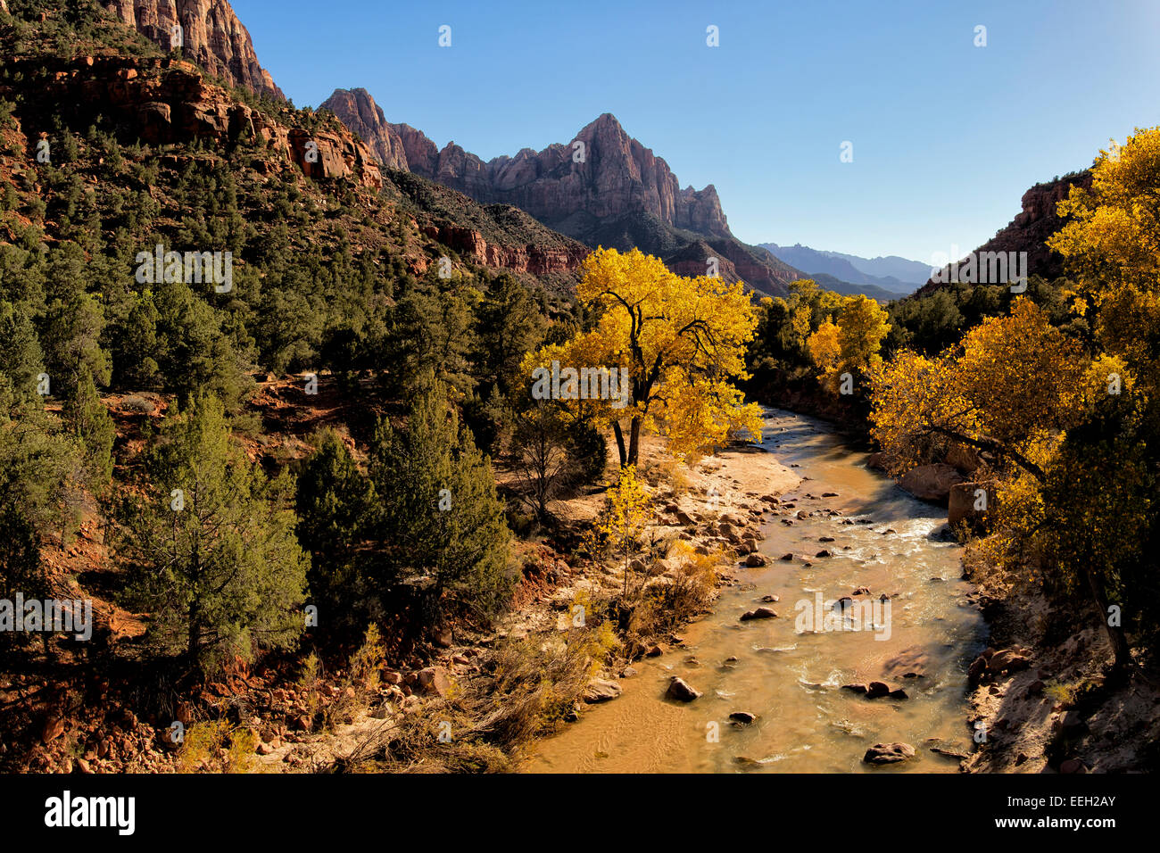 Fall in zion national park hi-res stock photography and images - Alamy