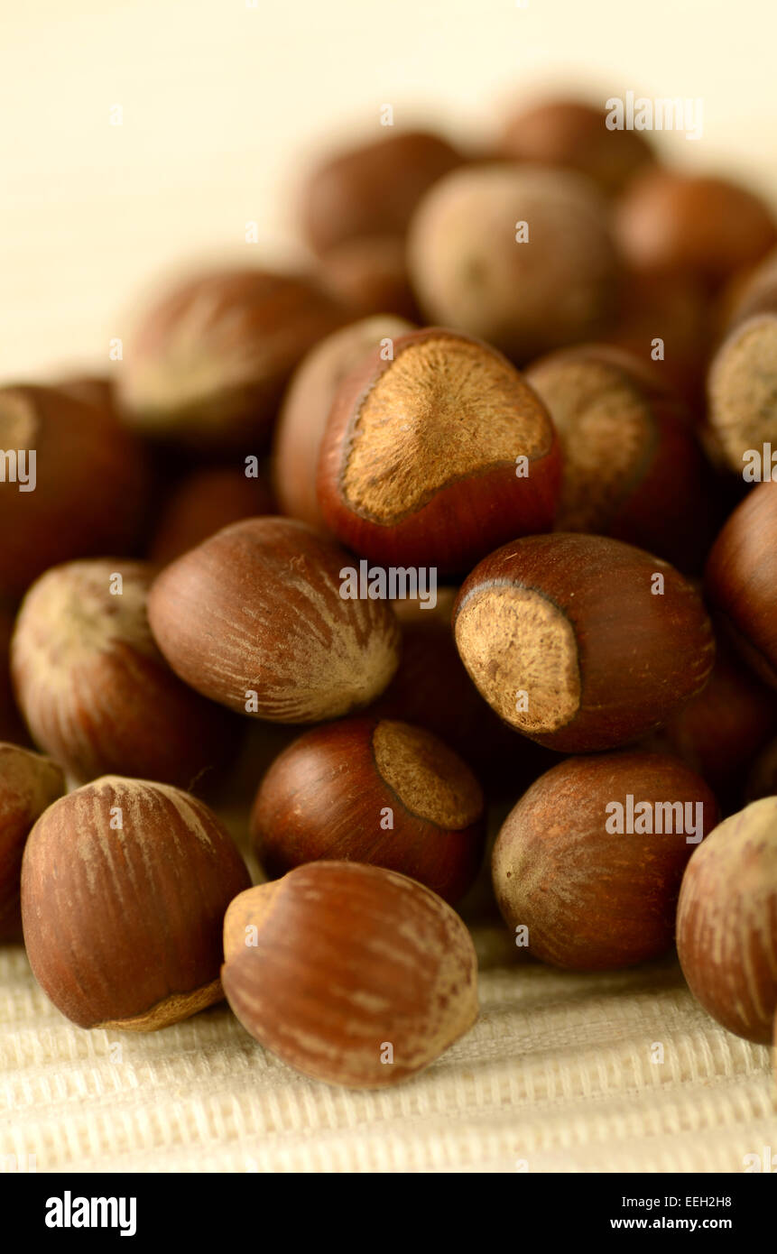 hazelnuts close-up shot Stock Photo - Alamy
