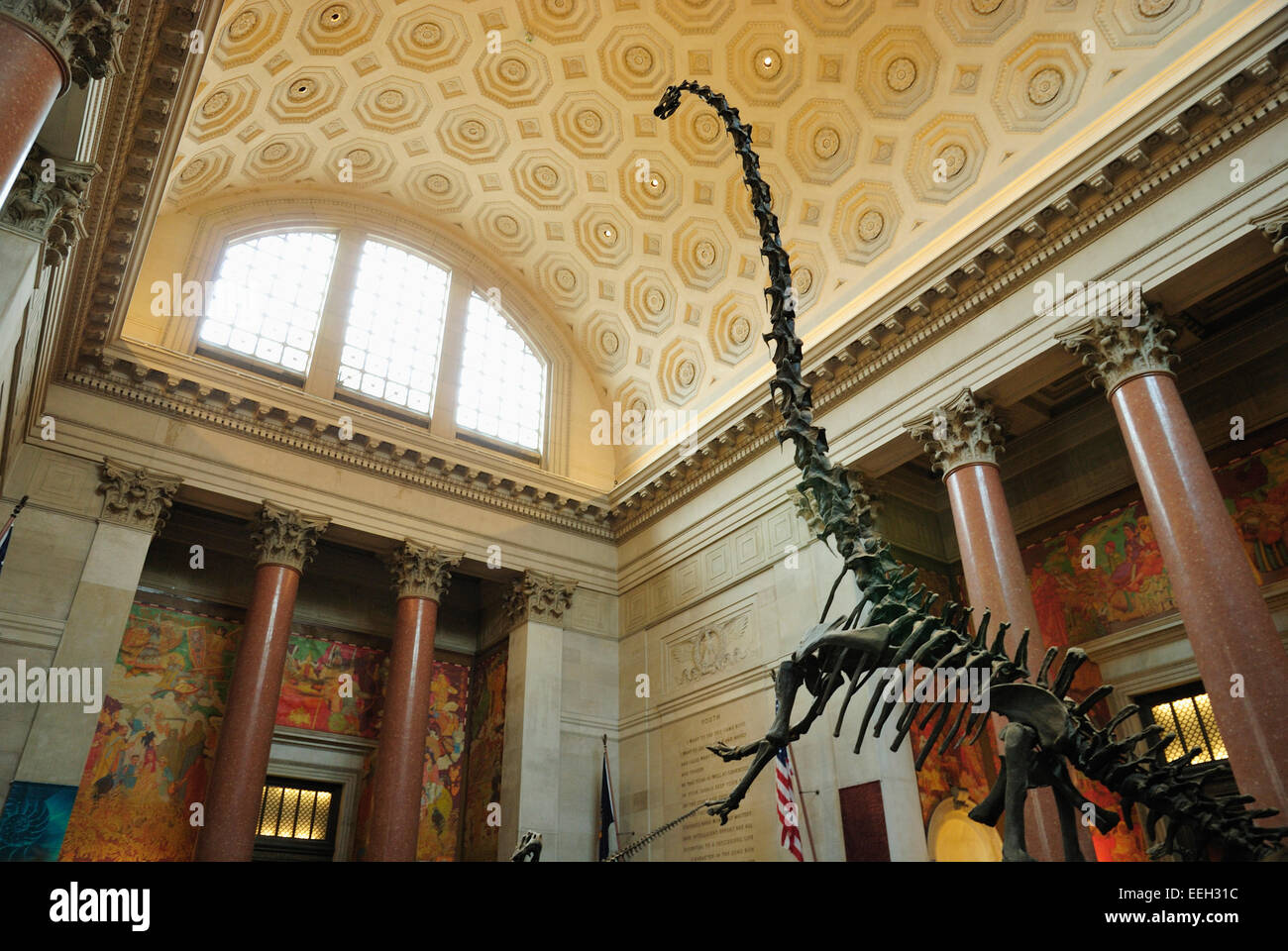 American Museum of Natural History. New York City Stock Photo - Alamy