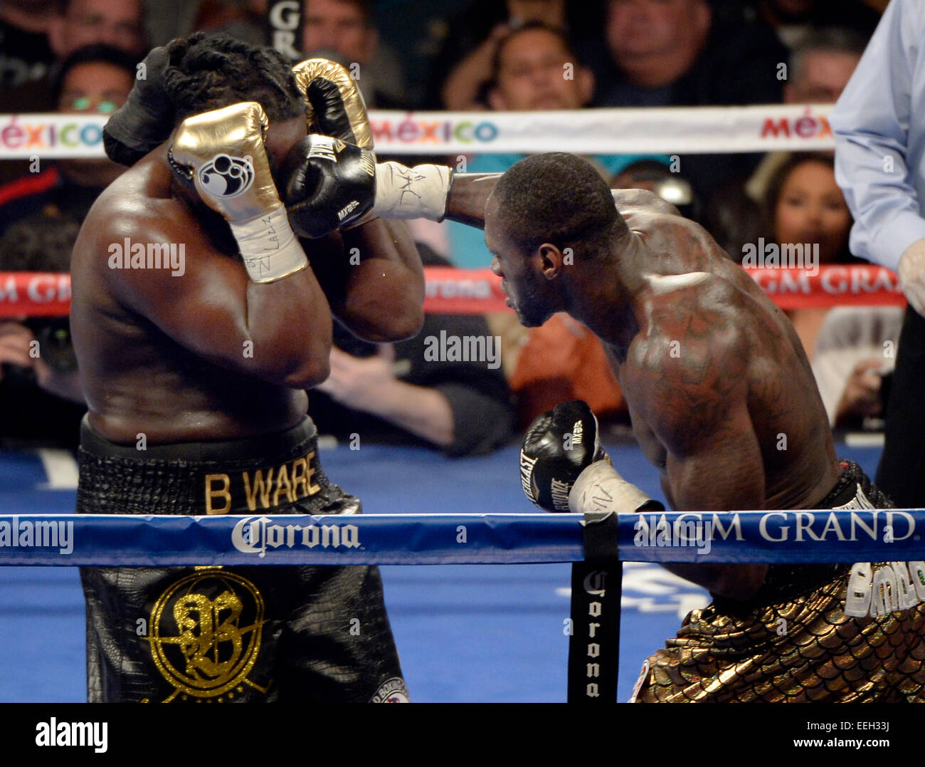 Las Vegas NV, USA. 17th Jan, 2015. (in gld trunks) Deontae Wilder goes ...