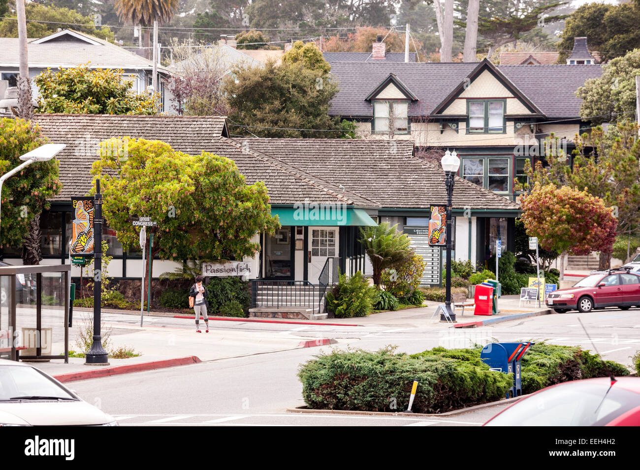 Passionfish hi-res stock photography and images - Alamy