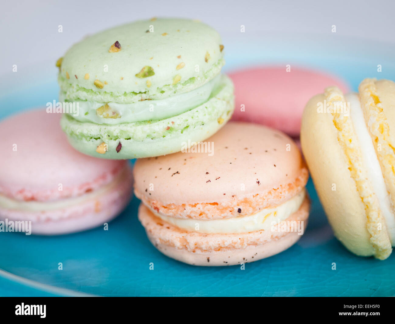 A plate of colourful French macarons from the Duchess Bake Shop in ...