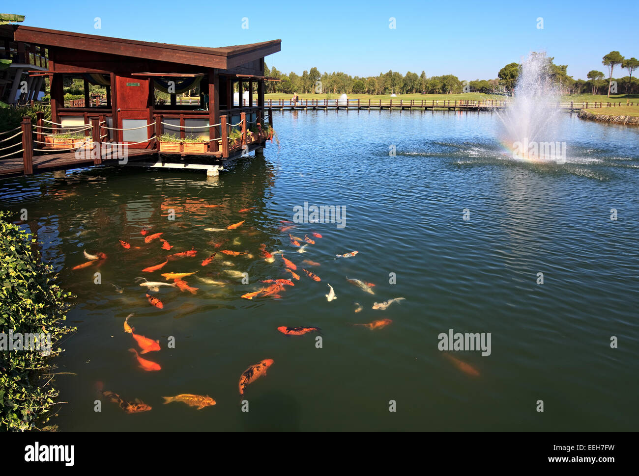 Artificial pond with fountain and fish Stock Photo - Alamy