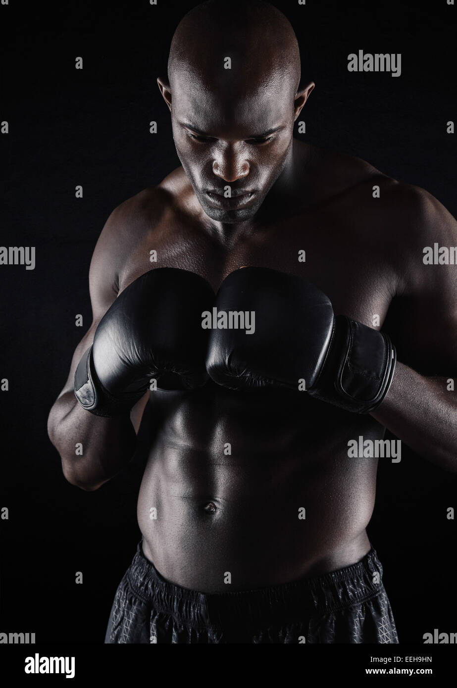 Fit young man wearing boxing gloves on black background. Professional ...