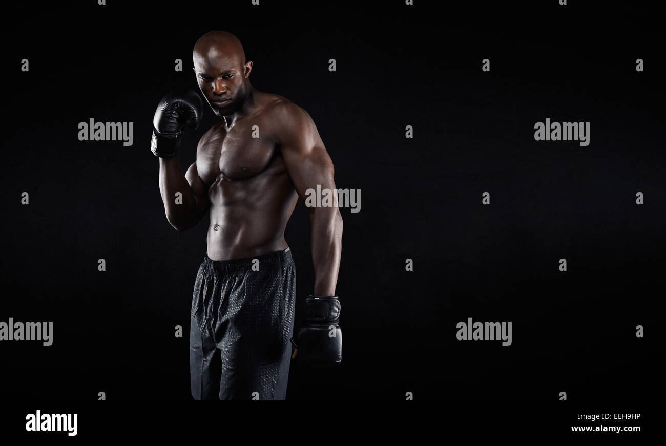 Professional fighter portrait on black background. Shirtless muscular ...