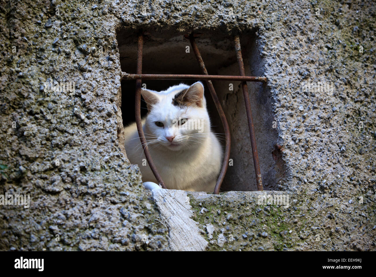 The witches village of Triora, Imperia, Liguria, Italy Stock Photo - Alamy