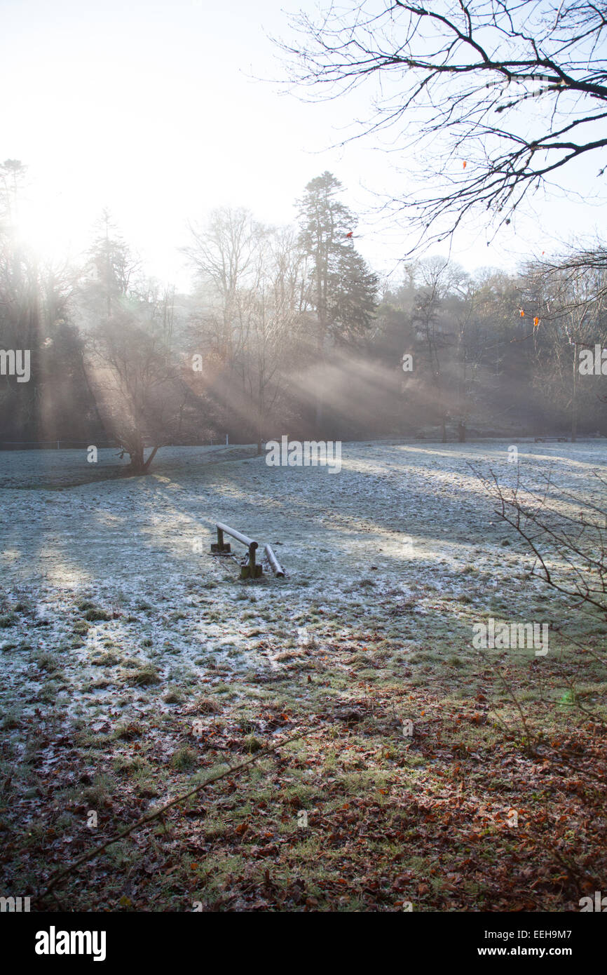 December afternoon sunlight hi-res stock photography and images - Alamy
