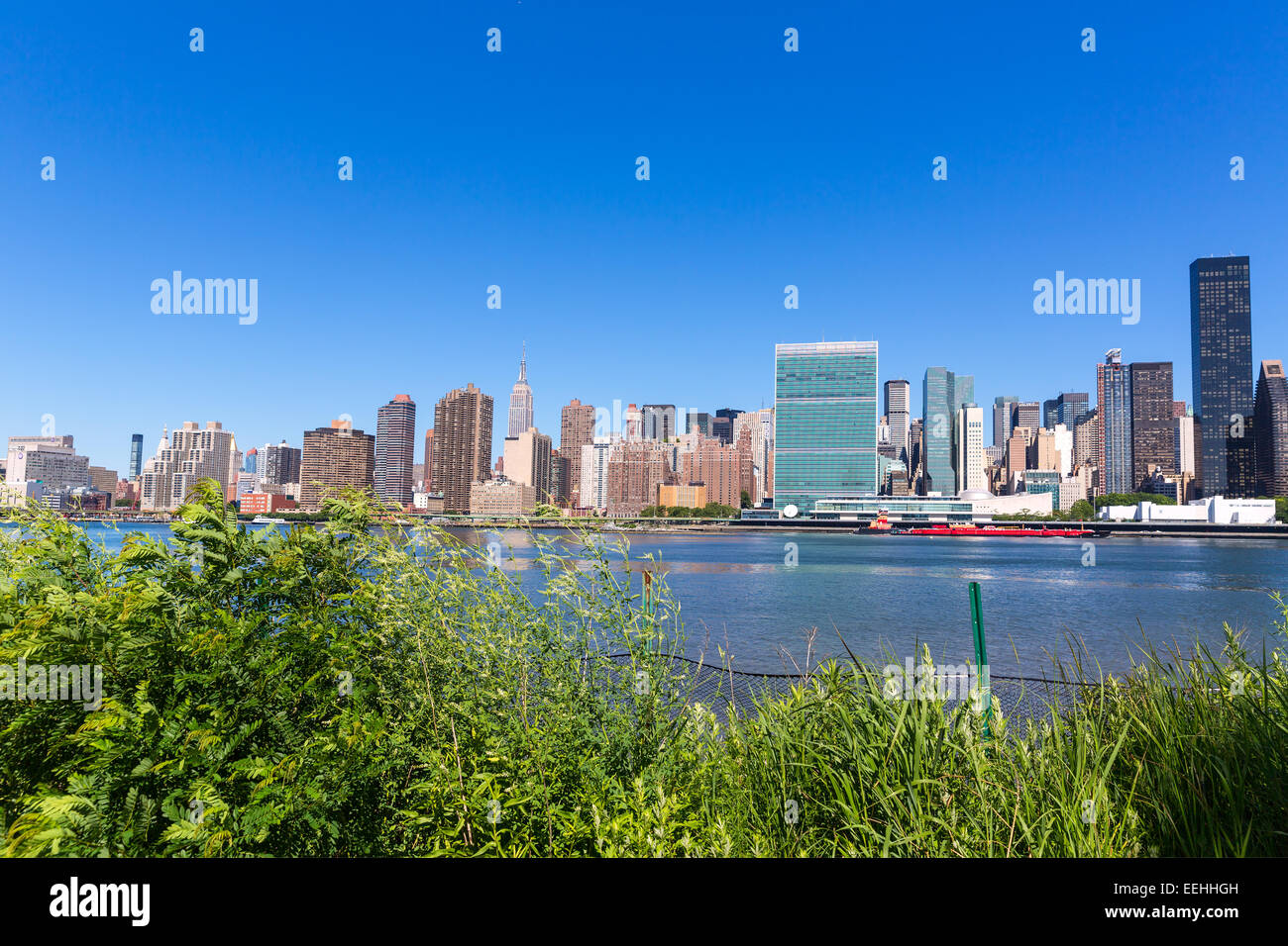 Manhattan New York sunny skyline from green park plants East River NYC ...