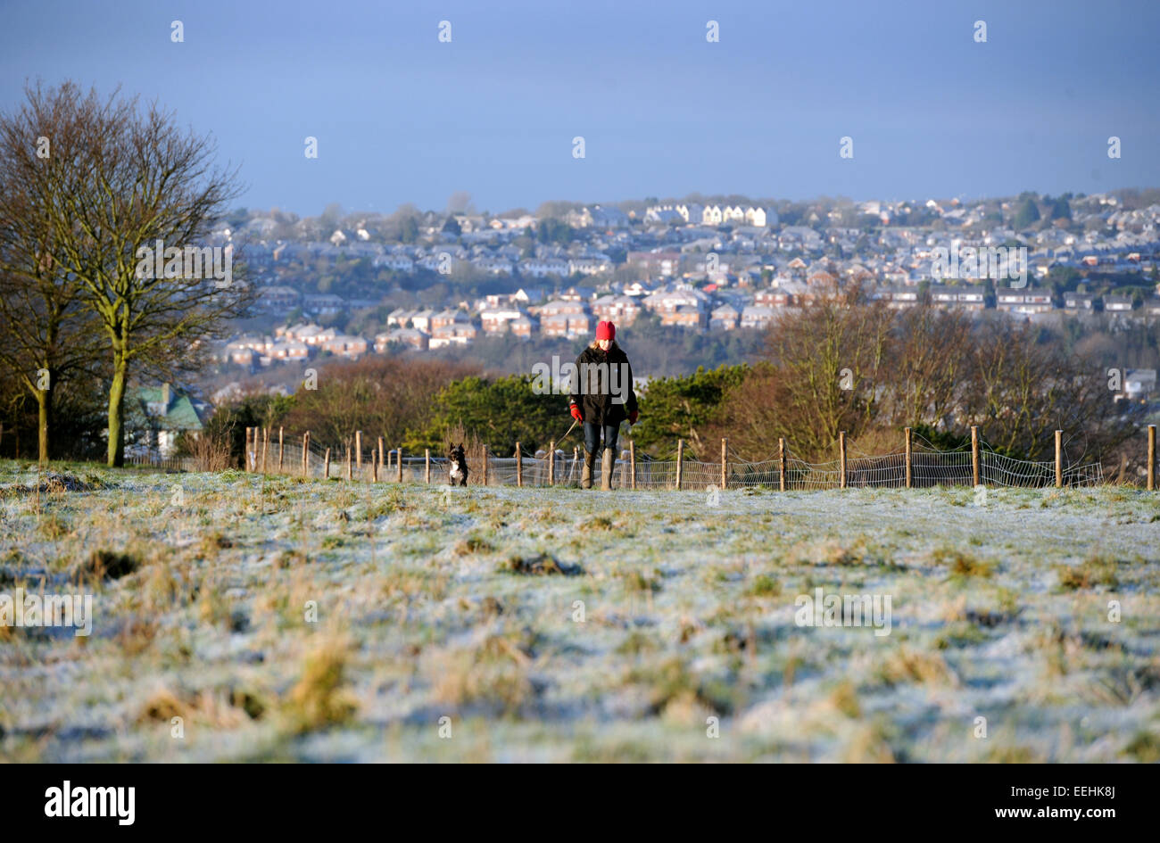 Brighton, UK. 19th January 2015. A lady enjoys the beautiful frosty ...