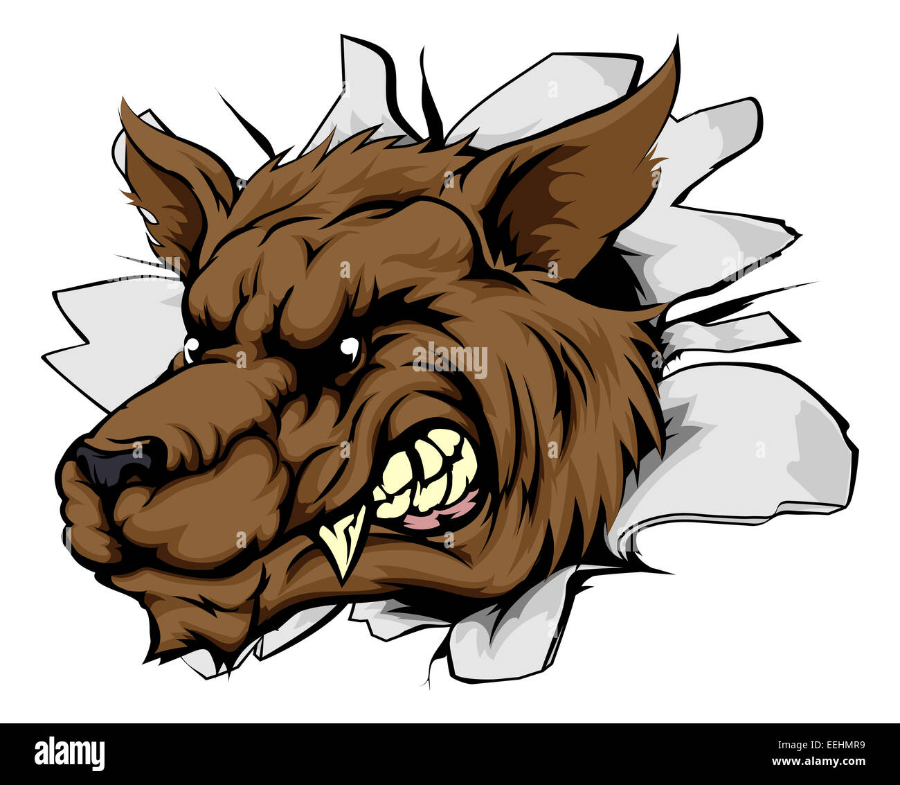 A mean looking wolf animal mascot breaking through a wall Stock Photo ...