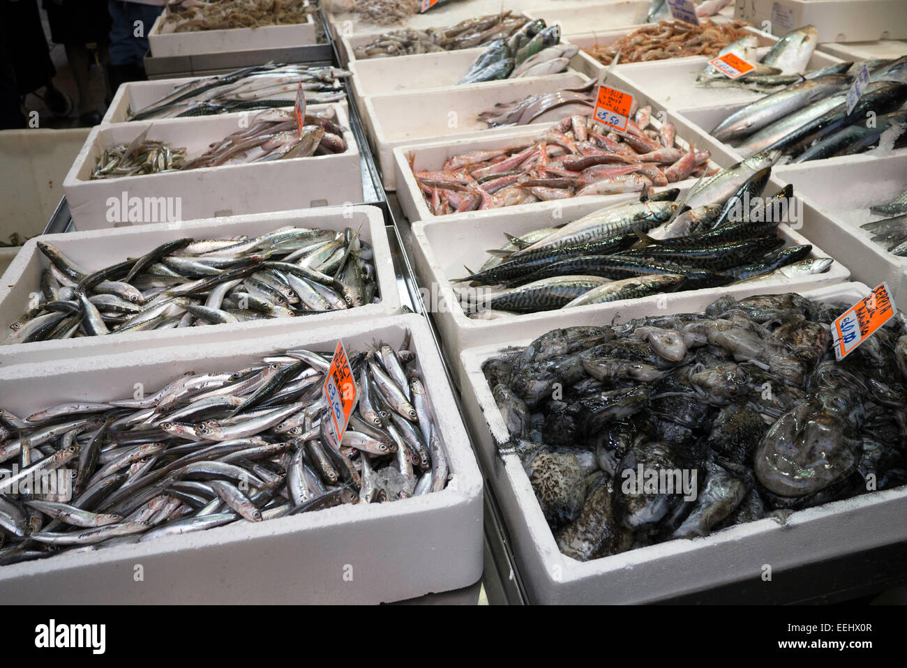 Box of cuttlefish hi-res stock photography and images - Alamy
