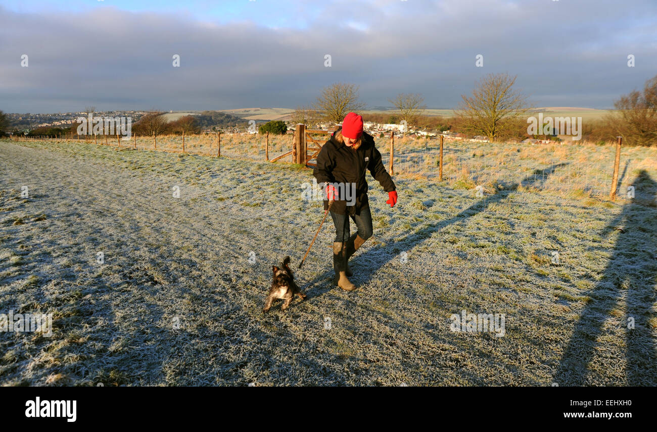 Brighton UK January 2015 - A dog walker enjoys the beautiful frosty ...
