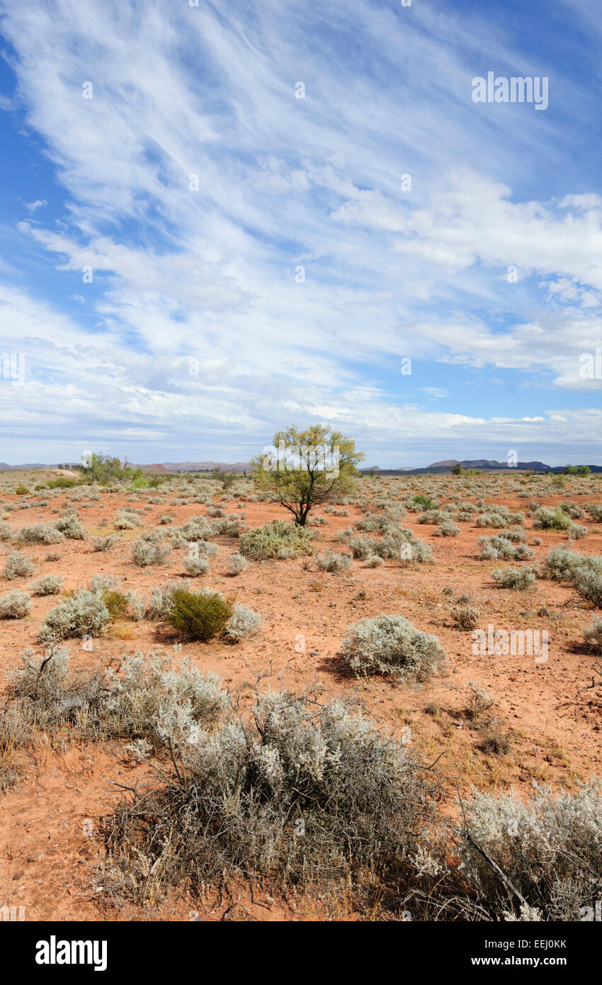 View of arid land in North Flinders Ranges, South Australia, Australia ...
