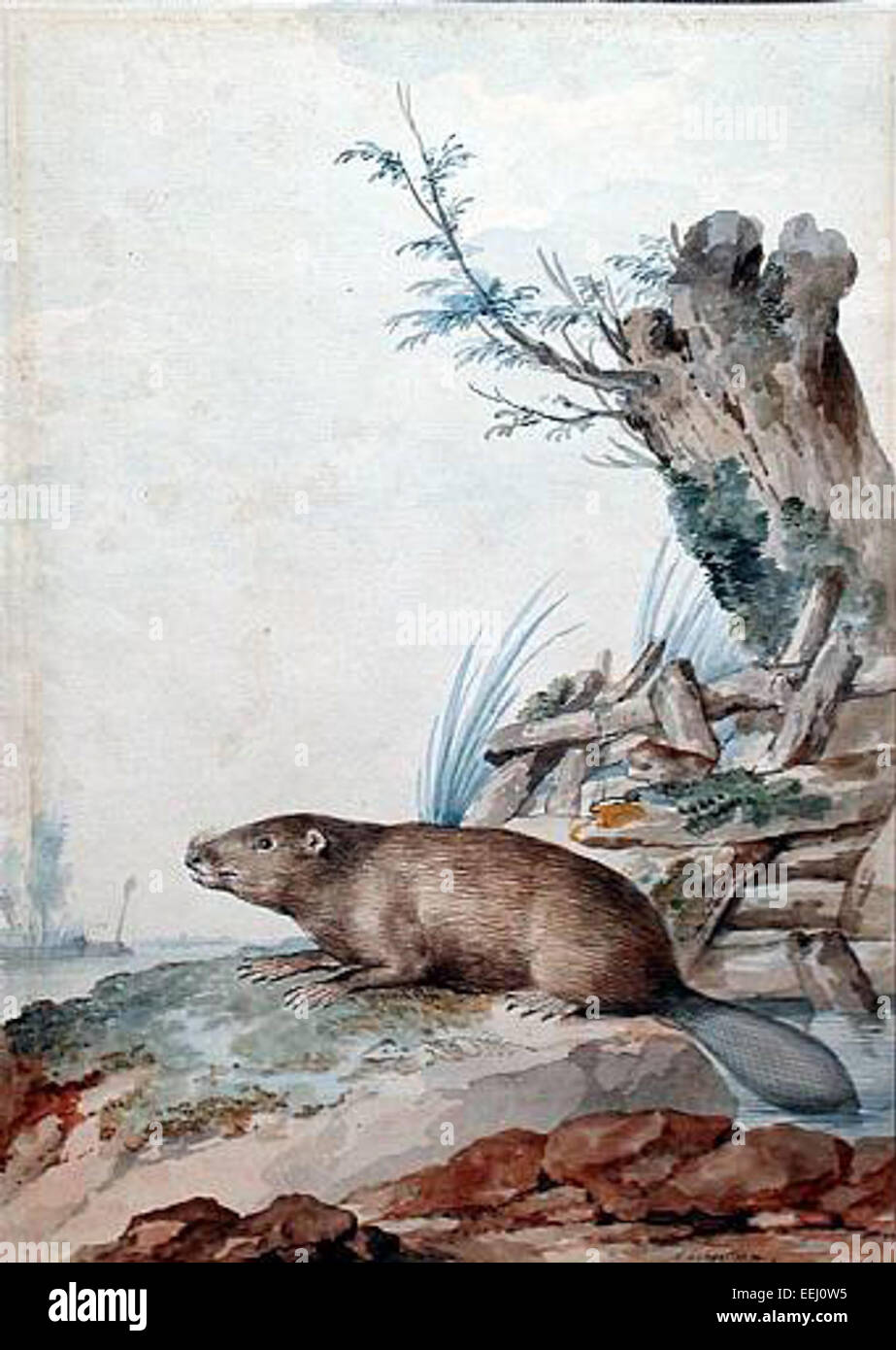 Aert schouman hi-res stock photography and images - Alamy