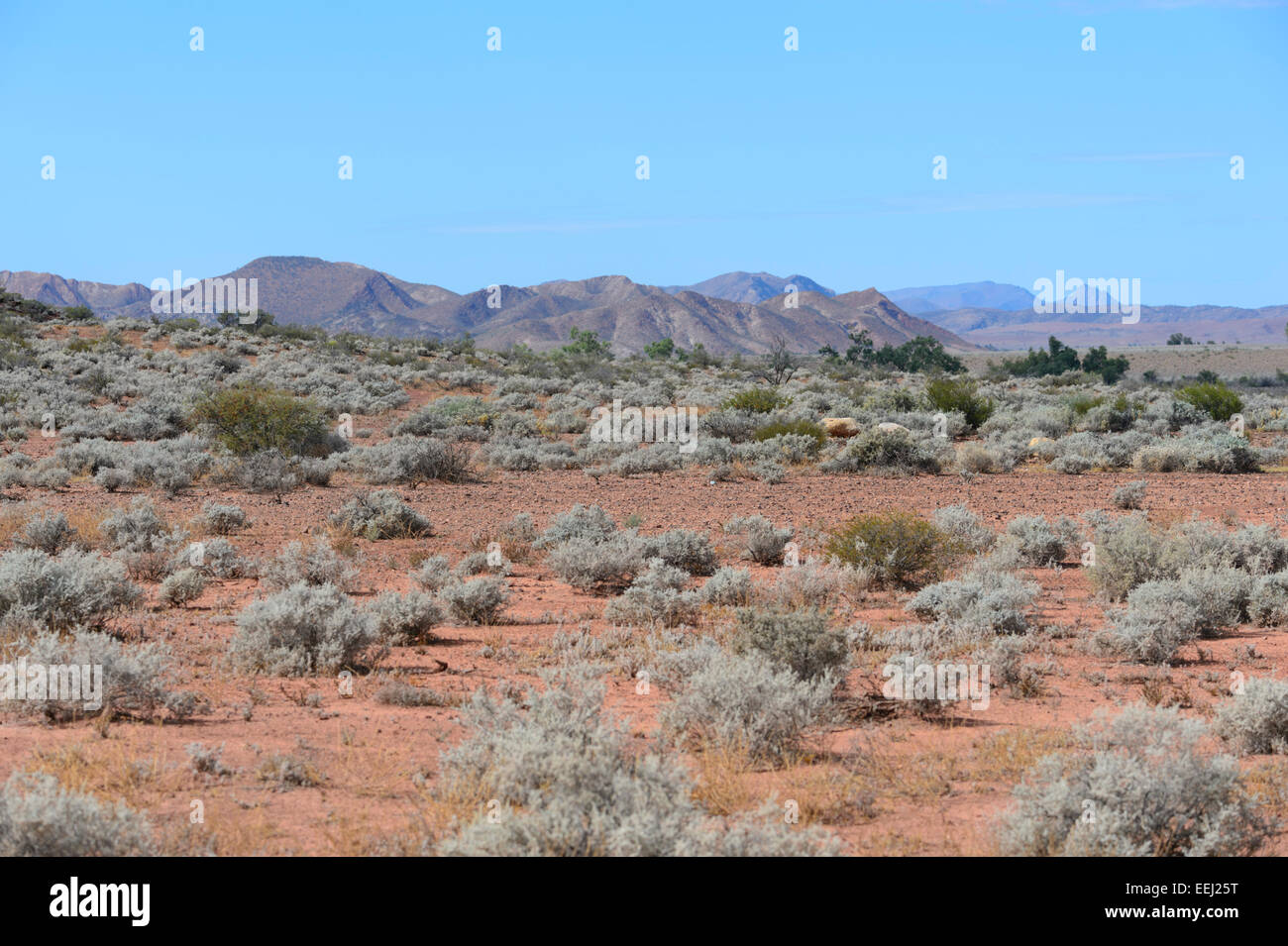 North Flinders Ranges, South Australia Stock Photo - Alamy