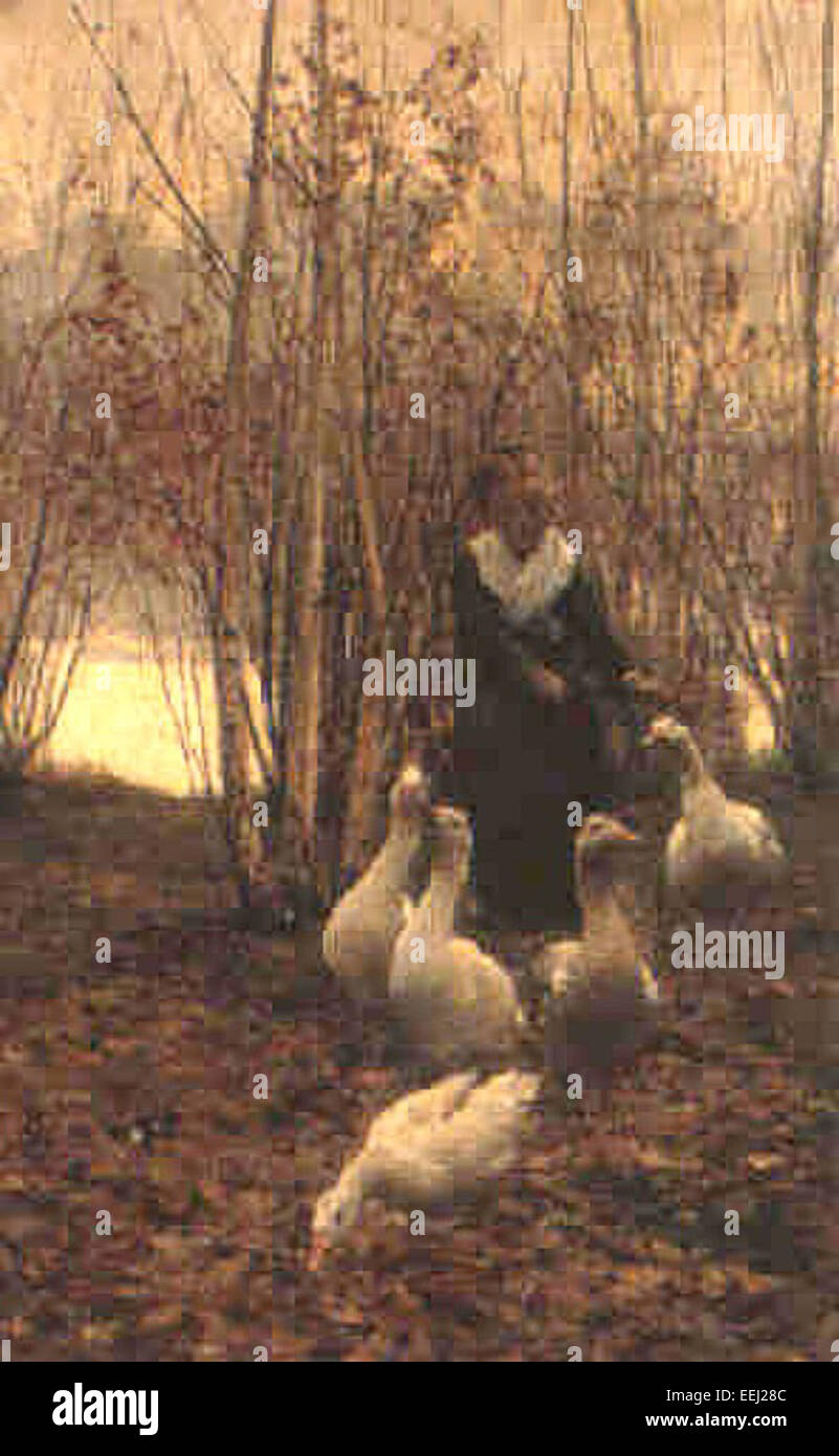 Alfred Edward Emslie was a British artist, known for his work in the ...