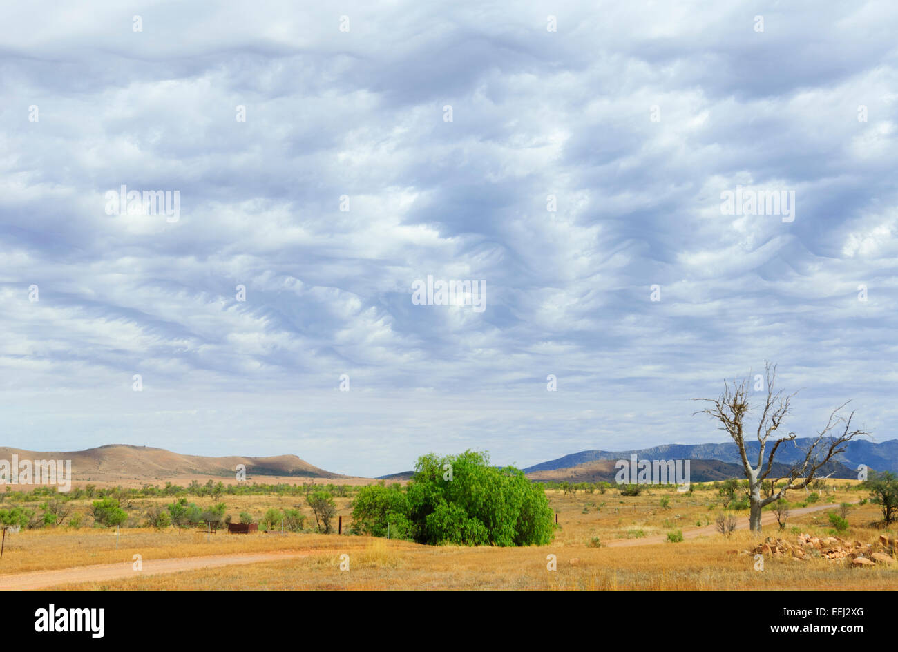 Mammatus Clouds, North Flinders Range, South Australia Stock Photo - Alamy