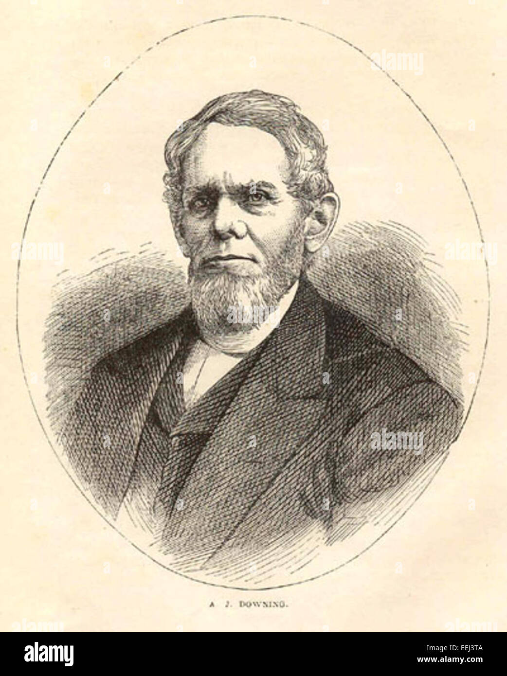 Andrew Jackson Downing was an influential American landscape architect ...