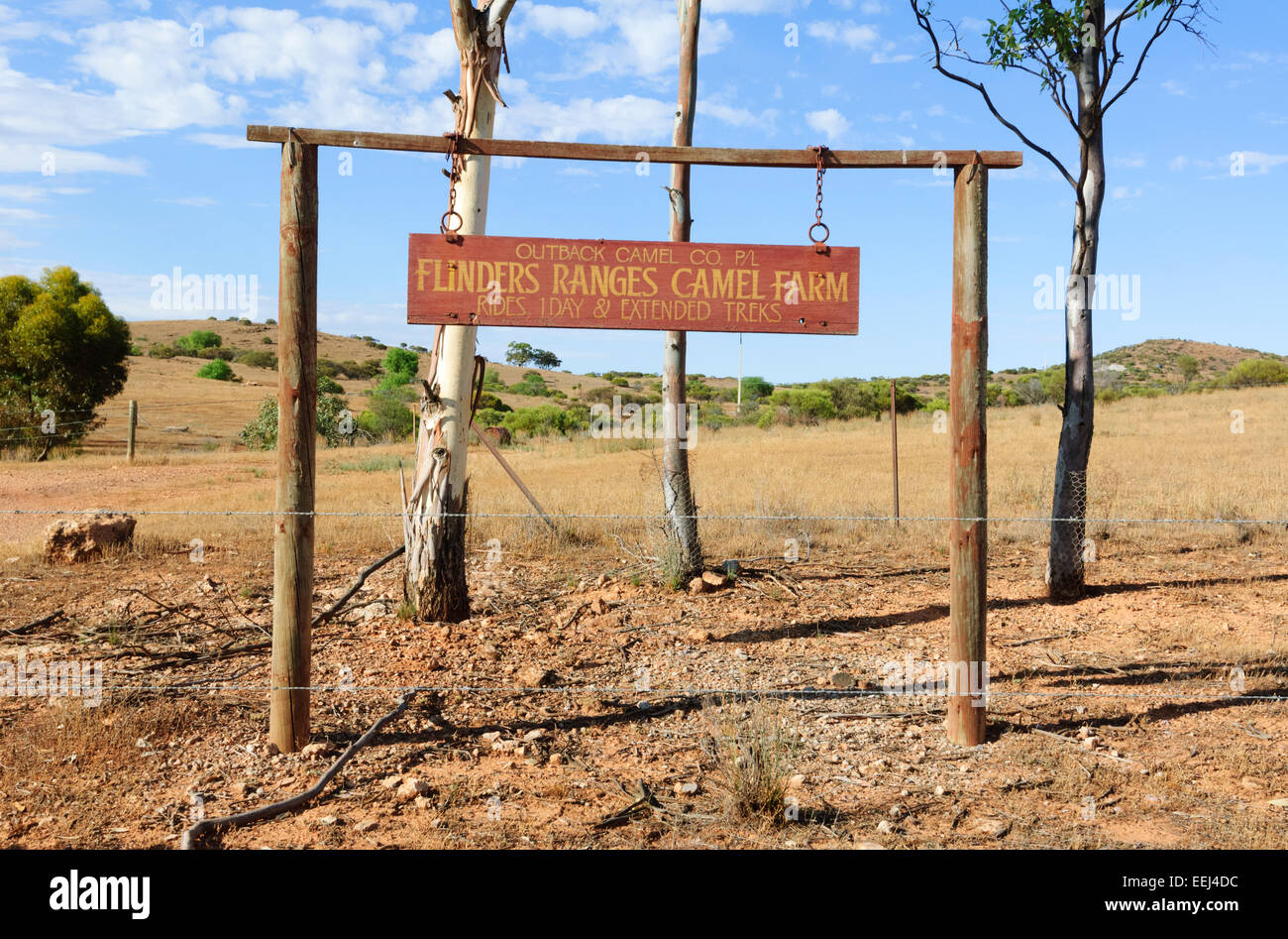 Flinders camel farm sign south hi-res stock photography and images - Alamy