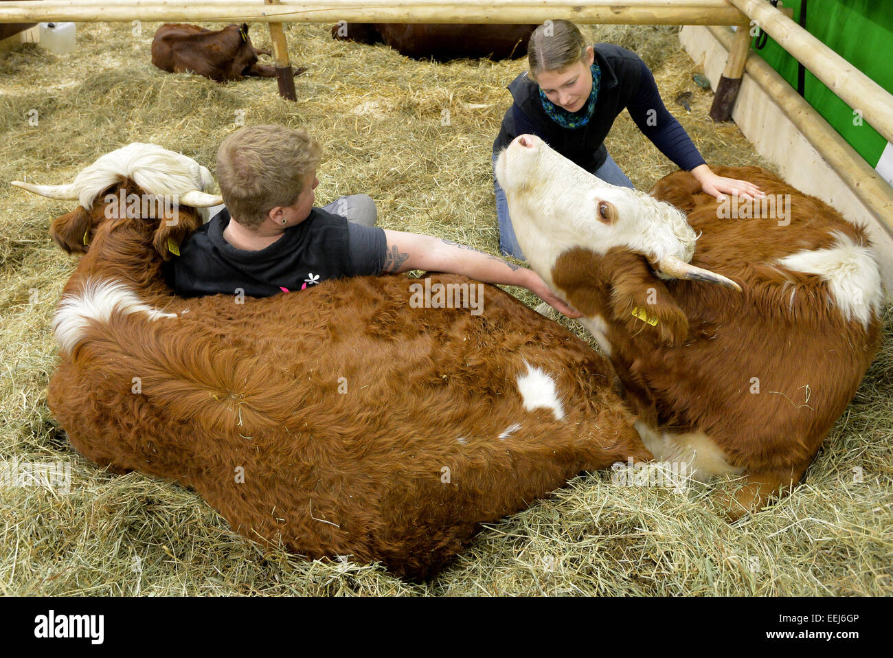 Berlin, Germany. 18th Jan, 2015. Two youths enjoy the company of two ...