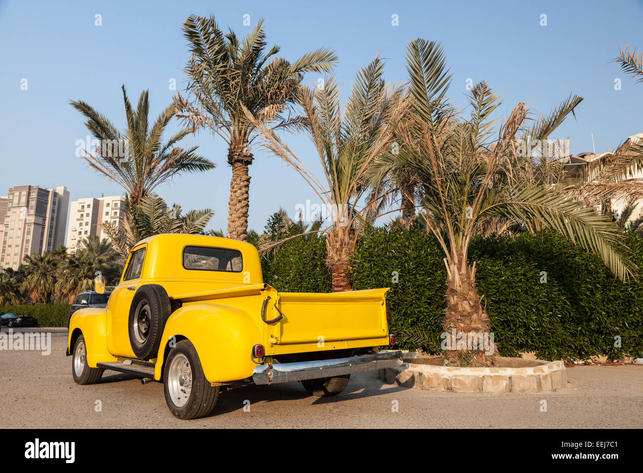 Classic yellow Chevy pickup truck under the palm trees Stock Photo - Alamy