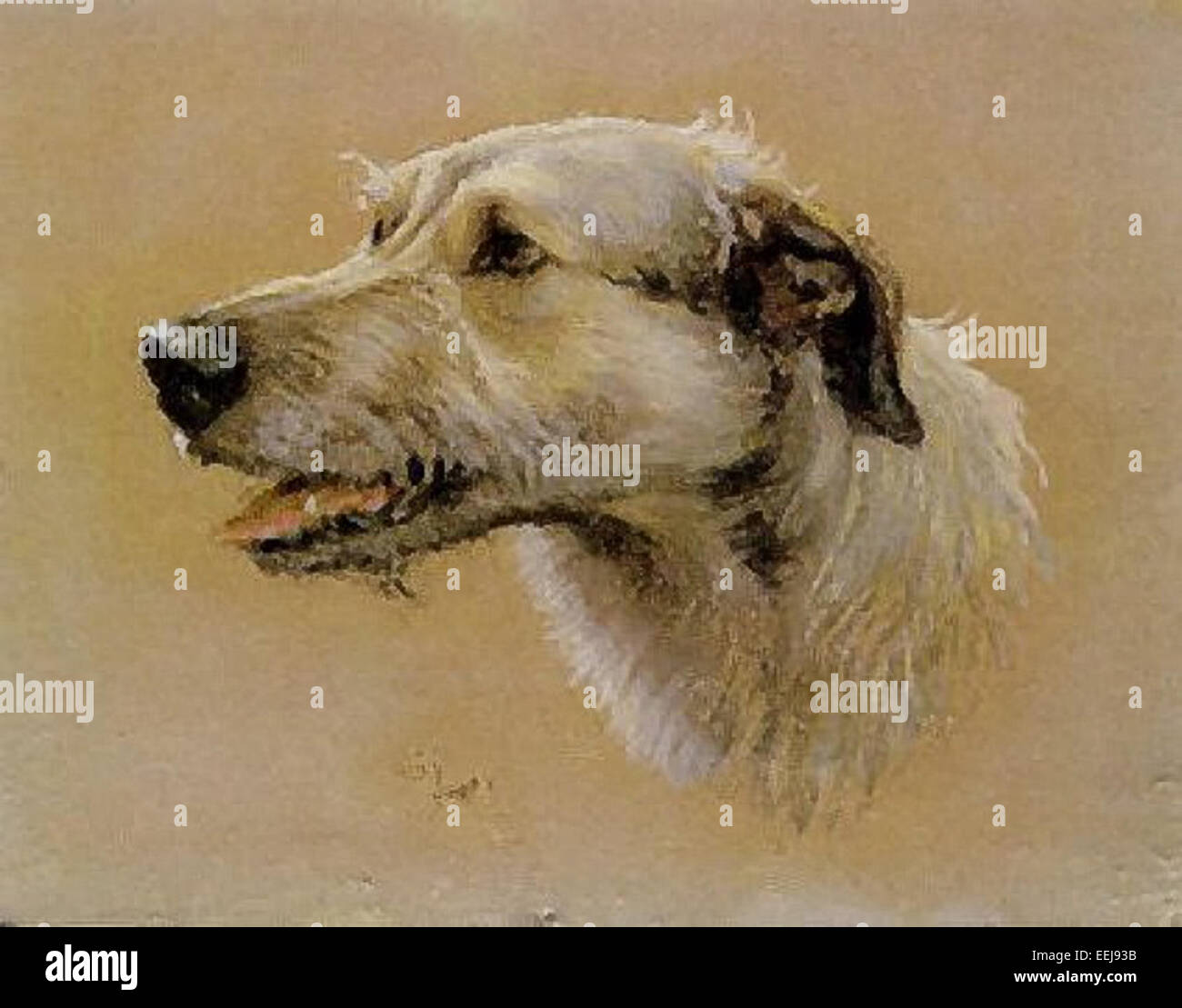 Cecil Aldin was an English artist, illustrator, and writer, best known ...