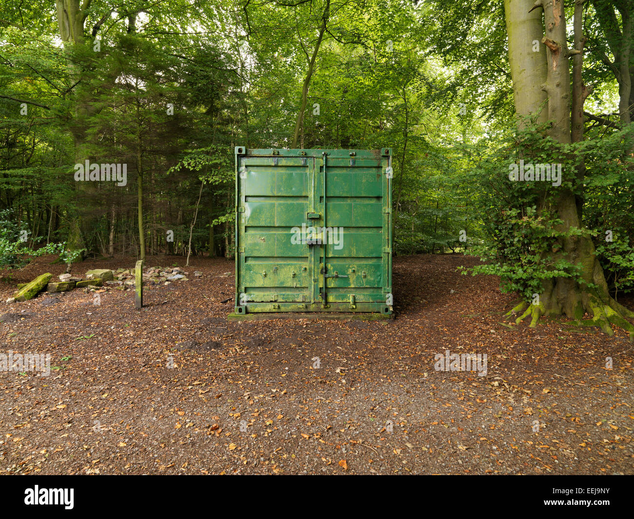 container in woodland Stock Photo - Alamy