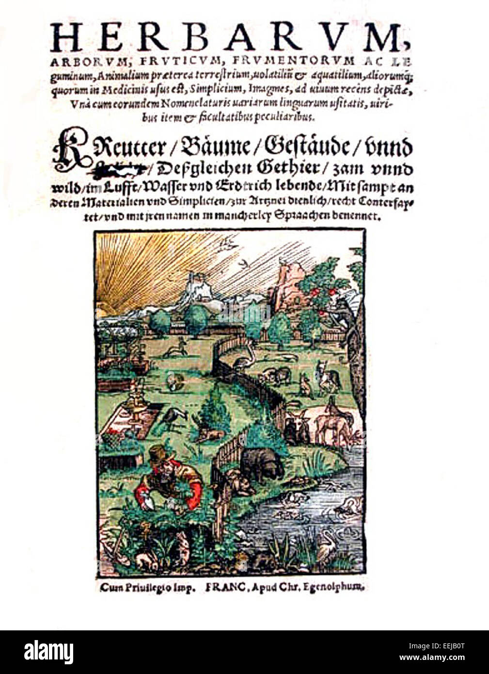 Christian heritage graphic Cut Out Stock Images & Pictures - Alamy