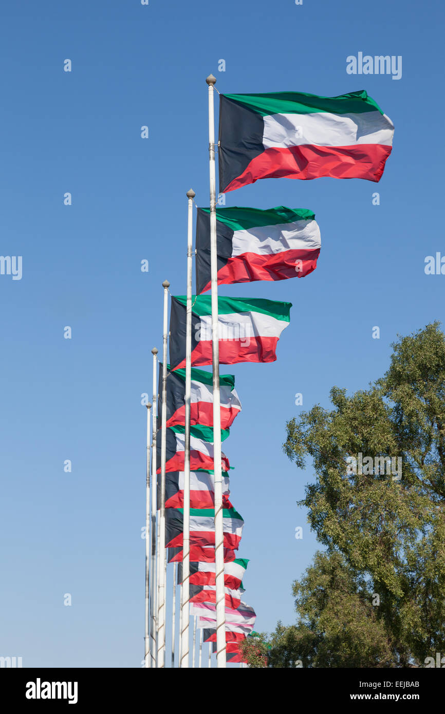 Row of kuwait national flags hi-res stock photography and images - Alamy