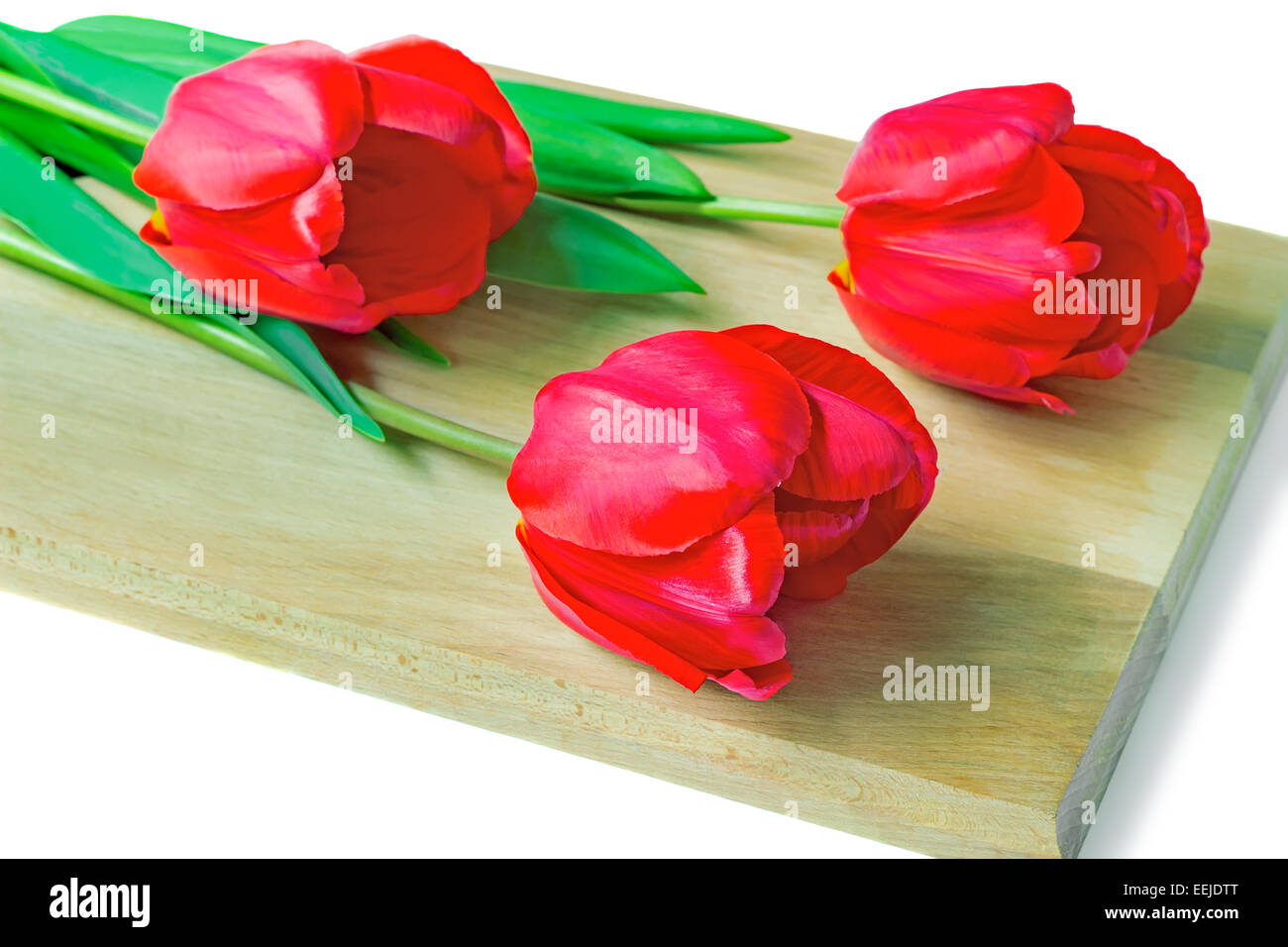 Three large beautiful Tulip red color with green leaves on a white ...