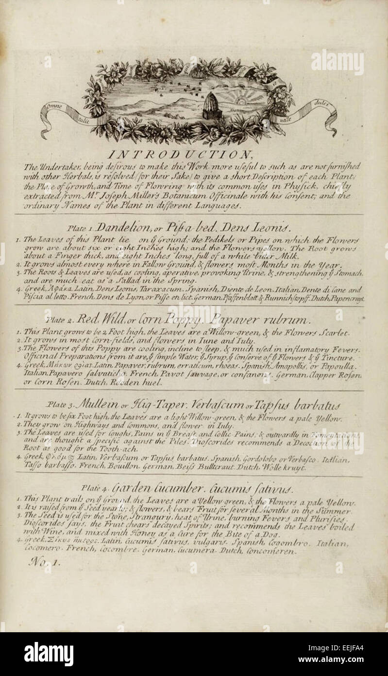 Elizabeth Blackwell Diploma