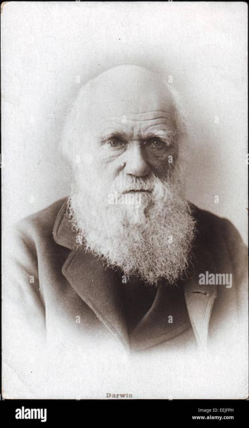 Elliott & Fry Stock Photo - Alamy