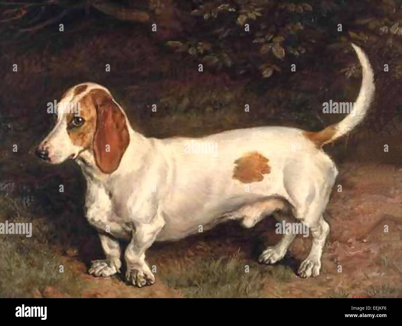 Frank Paton was a British artist, best known for his detailed and ...