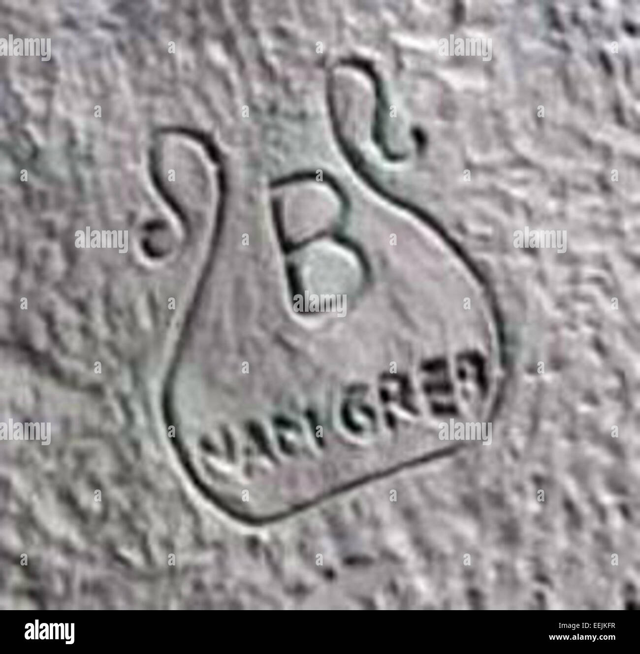 Franz Bergman was an Austrian sculptor known for his bronze works ...