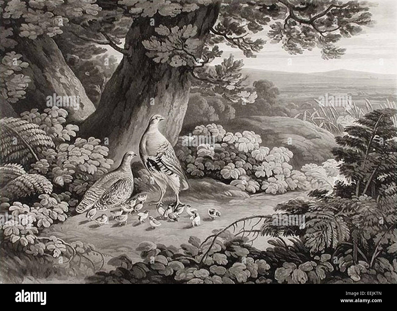 Frederick Christian Lewisa was a prominent historical figure, though ...