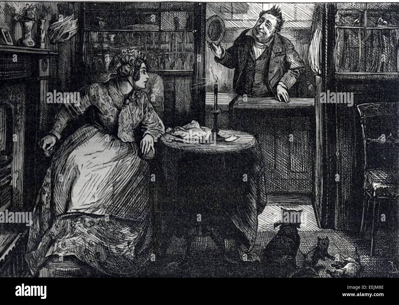 Fred Barnard was an English artist and illustrator known for his work ...