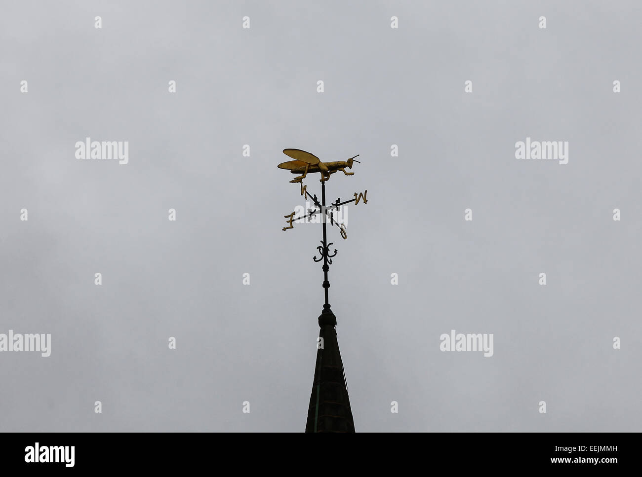 The locust weather vane on the spire of the church of St John the ...
