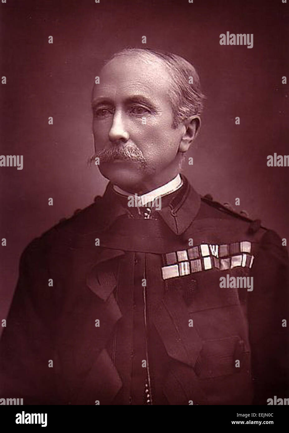 This portrait of General Sir Garnet Wolseley, painted by Herbert Rose ...