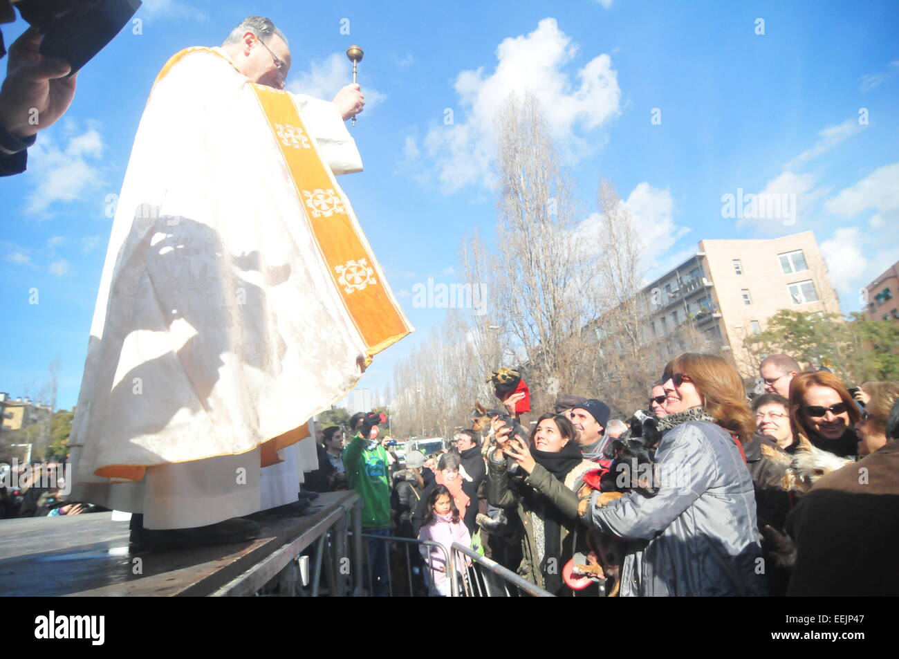 Local priest blessing with holy water a turtle with red cover Stock ...